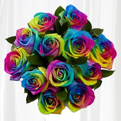 Dozen Rainbow Roses